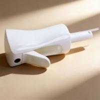 China 200ml Continuous Spray Travel Bottle Manufacturers' Spot Wholesale Plastic Gardening Bottle for sale