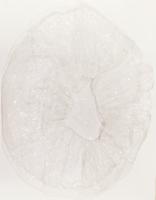China Transparent Disposable PE Cover Single Use Elasticated Plastic Cover for sale