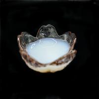 China Good Compatibility Translucent Milky White Waterborne Acrylic Emulsion for Gravure Ink for sale