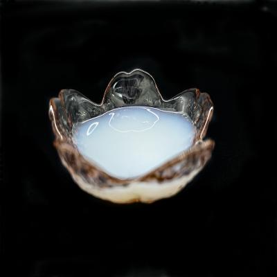 China Good Compatibility Translucent Milky White Waterborne Acrylic Emulsion for Gravure Ink for sale