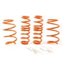 China Magotan 2.0T B8 2021 Volkswagen Lowering Springs High Flexibility For Stable Operation for sale