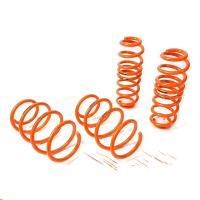 China Magotan 2.0T B8 2021 Volkswagen Lowering Springs High Flexibility For Stable Operation for sale