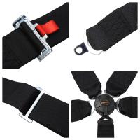China EDDYSTAR Nylon Five Point Seat Belt Black Color Five Point Racing Harness for sale