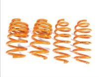 China Two Wheel Sport Tesla Model 3 Lowering Springs Flexible for sale