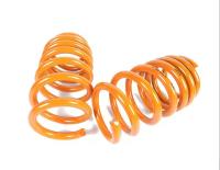 China Two Wheel Sport Tesla Model 3 Lowering Springs Flexible for sale