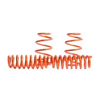 China Customizable BMW 320i 2005-2012 Sport Lowering Springs with 2-Year Warranty and 1 Million Non-Break Fatigue Test for sale