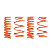 China Customizable BMW 320i 2005-2012 Sport Lowering Springs with 2-Year Warranty and 1 Million Non-Break Fatigue Test for sale