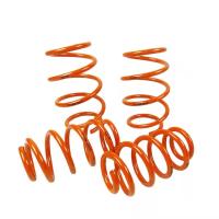 China Sport BMW Lowering Springs 116i 118i 2016 Stable And Safety Car Lowering Springs for sale