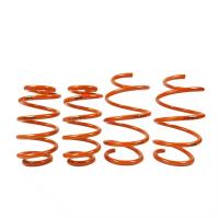 China Sport BMW Lowering Springs 116i 118i 2016 Stable And Safety Car Lowering Springs for sale