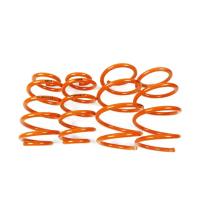 China Sport BMW Lowering Springs 116i 118i 2016 Stable And Safety Car Lowering Springs for sale