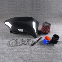 China Vortex-generating EDDYSTAR Carbon Fiber Air Intake with High-flow Design for BMW 116i 118i 1.6T(N13) for sale
