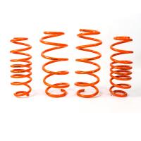 China EDDYSTAR High-Stiffness Sport Lowering Springs with Progressive Spring Rate and Precision Fitment for Audi A3 A4 for sale