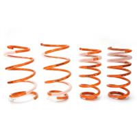 China EDDYSTAR Performance Lowering Springs For BMW 1/2/3/4/5/6/7/X1/X3/X4/X5/X6/Z4 2005-2025 for sale