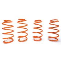 China EDDYSTAR Performance Lowering Springs For BYD Qin/Han/Tang/Seal/Song 2008-2025 for sale