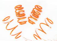 China EDDYSTAR Performance Lowering Springs For Toyota Camry/Corolla/RAV4/Levin/Reiz 2005-2025 for sale
