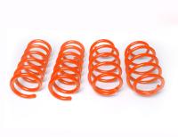 China EDDYSTAR Performance Lowering Springs For Ford Focus/Mondeo/Fiesta/Kuga/Mustang 2005-2025 for sale