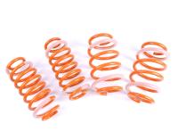 China EDDYSTAR Performance Lowering Springs For Lincoln MKZ 2.0T 3.0T 2014-2020 for sale