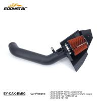 China EDDYSTAR Cold Air Intake System For BMW 335i 435i M235i M2 N55 3.0L 2012-2018 for sale