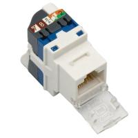 China New Model Cat6 UTP Keystone Jack RJ45 Modular Jack With Dust Cover for sale