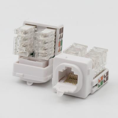 China Australia UTP Cat5e Ethernet Wall Jack 8P8C 90 Degree Dustproof Shielded for sale