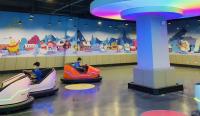 China 220V Electric Bumper Car for 2 Persons with 6-10 km/h Speed and 140kg Load Capacity - Dramland BM-01 for sale