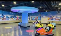 China 220V Electric Bumper Car for 2 Persons with 6-10 km/h Speed and 140kg Load Capacity - Dramland BM-01 for sale