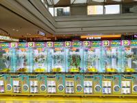 China Coin Operated Prize Grabber Game Machine 60kgs 220V 100W Arcade Win Clip Vending Machine for sale