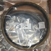 China Original  Excavator Spare Parts 4430715 Oil Seal for sale