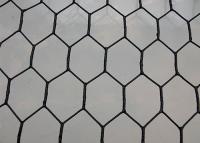 China Hexagonal Wire Netting for sale