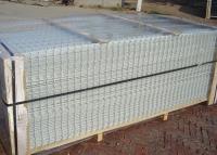 China Welded Wire Mesh Panel for sale