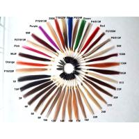 China Suborui 180g Hair Extension Colour Ring Swatch for Salon Color Matching for sale