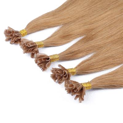 China 100% Remy Human Hair Weft Extensions 10-32 inch No Shedding 100g for sale