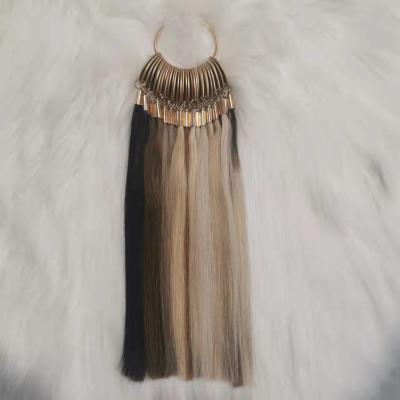 China Luxury Hair Extension Colour Ring 12 Month Life Span Beautyworks Custom Color Swatch for sale
