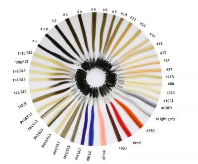 China Suborui 180g Hair Extension Colour Ring 30 Piece Human Hair Color Swatch Ring for sale