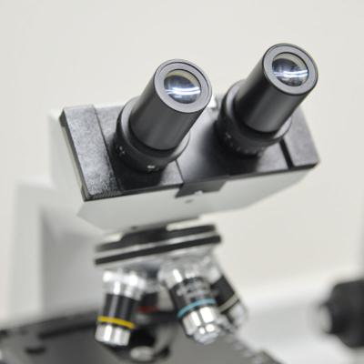 China Agricultural Soil Lab Testing Business For Sale Global Certification Third-party authentication service for sale
