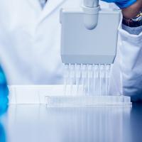 China Quality FDA Lab Certification NEMKO  Sgs Lab Testing Third-party authentication service for sale