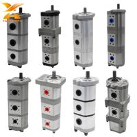 China Customizable Excavator Double Gear Hydraulic Pump High Pressure 10-1000 cc Compatible with Rexroth Kawasaki Komatsu for sale
