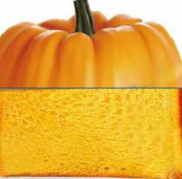 China Wholesale Pumpkin Toast Bread with 180-Day Shelf Life - Custom Retail & Bulk Packaging Options for sale