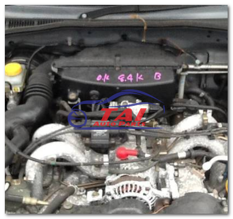 EJ15.png4.png