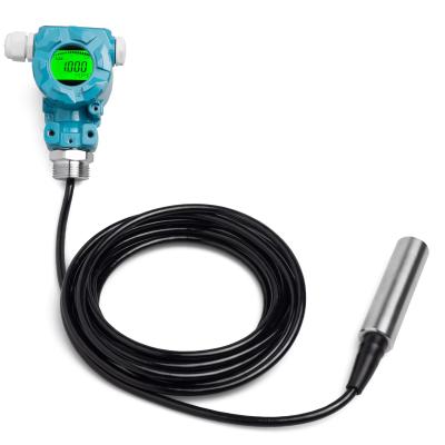China Hank HK-802M4 IP68 Submersible Level Sensor with 0-200m Range and 4-20mA/RS485 Output Options for sale
