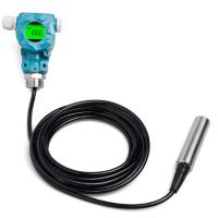 China Hank HK-802M4 IP68 Submersible Level Sensor with 0-200m Range and 4-20mA/RS485 Output Options for sale