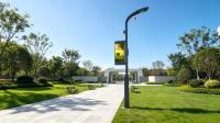 China Public Safety Smart Street Light Pole Customizable Street Lighting Pole for sale