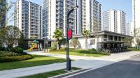 China 2.5m - 12m Street Lighting Poles IP65 Street Lights With Pole for sale