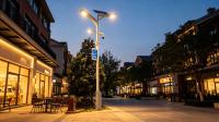 China LED Display Screen Smart Street Light Pole Smart Lighting Smart Light Pole IP65 for sale