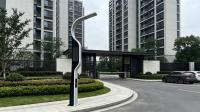 China Emergency Call Smart Street Light Pole One Key SOS Smart Pole Light for sale