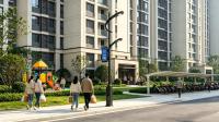 China LED Display Smart Lighting Pole 2.5m - 12m Smart Street Lamps for sale