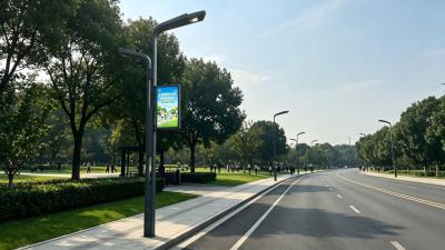 China Customizable Smart City Light Pole Environmental Monitoring Smart Road Lighting for sale
