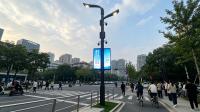 China Public Safety Smart City Light Pole Customizable IOT Based Smart Street Light IP65 for sale