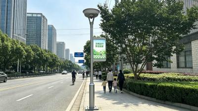 China Mobile Phone Charging Smart City Light Pole Public Safety Smart Street Pole 2.5m - 12m for sale