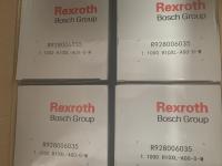 China R928007516, 1.0045AS20-AH0-0-V High Pressure Rexroth Filter Element 1.0045 1.0060 1.0063 Size for sale